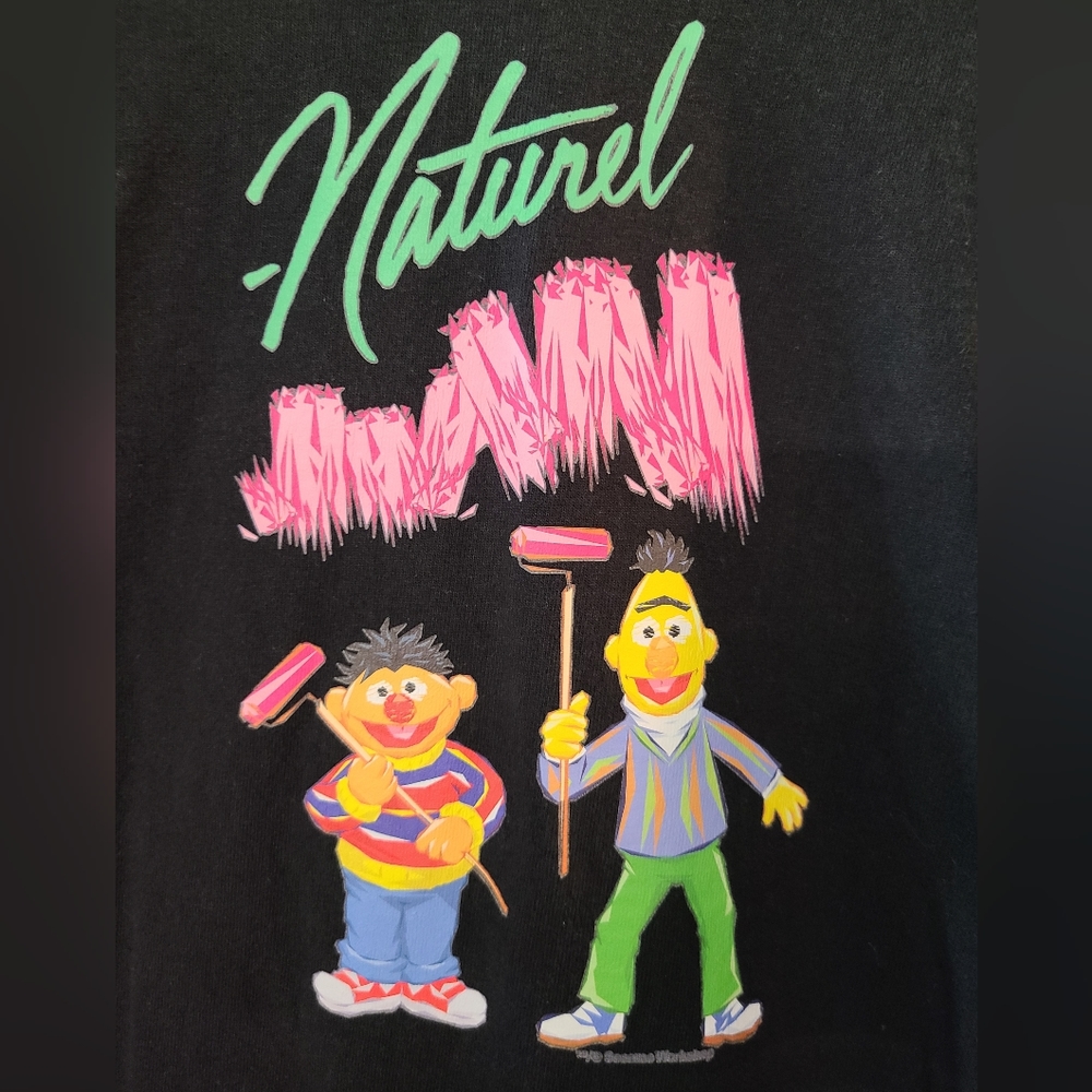 Bert And Ernie Tee (Sesame Street) - Gem